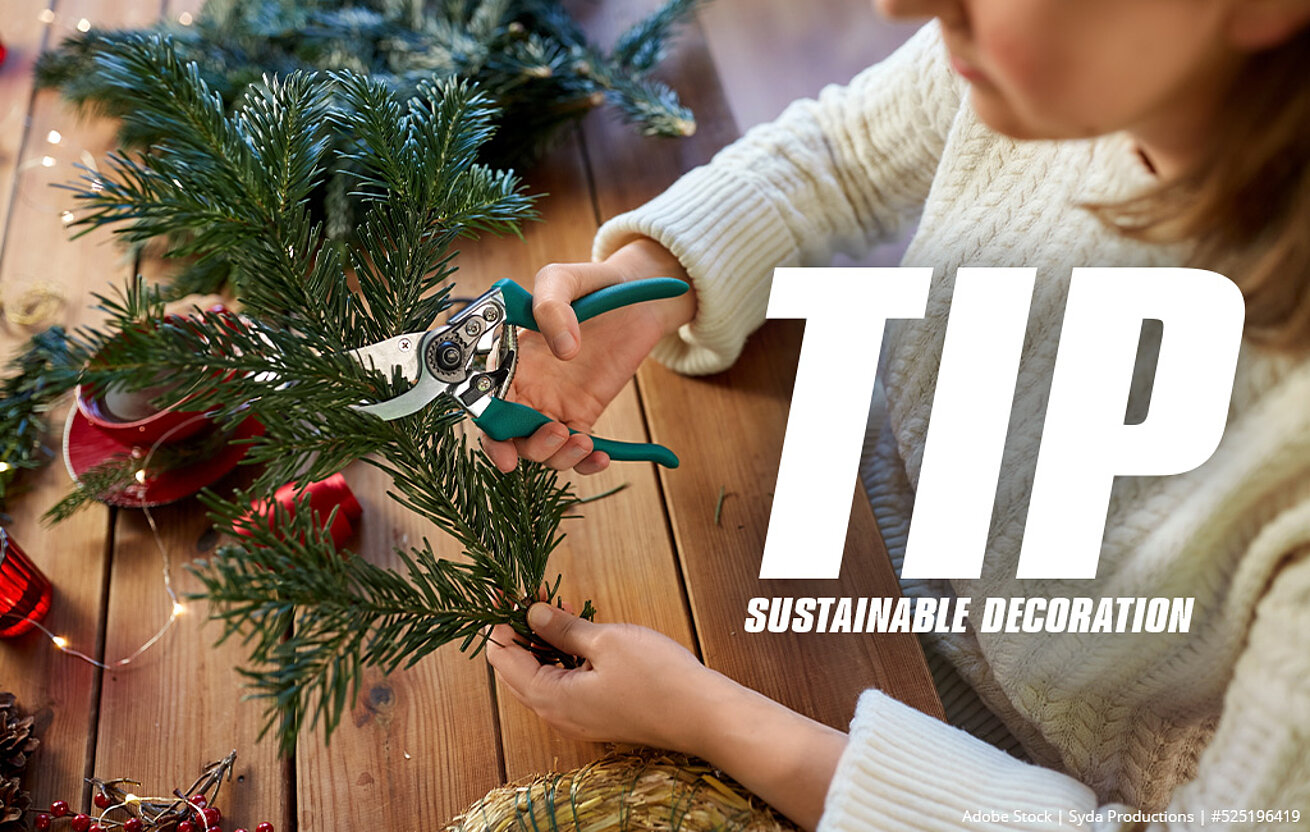 How to dispose of your Christmas tree | Einhell Blog