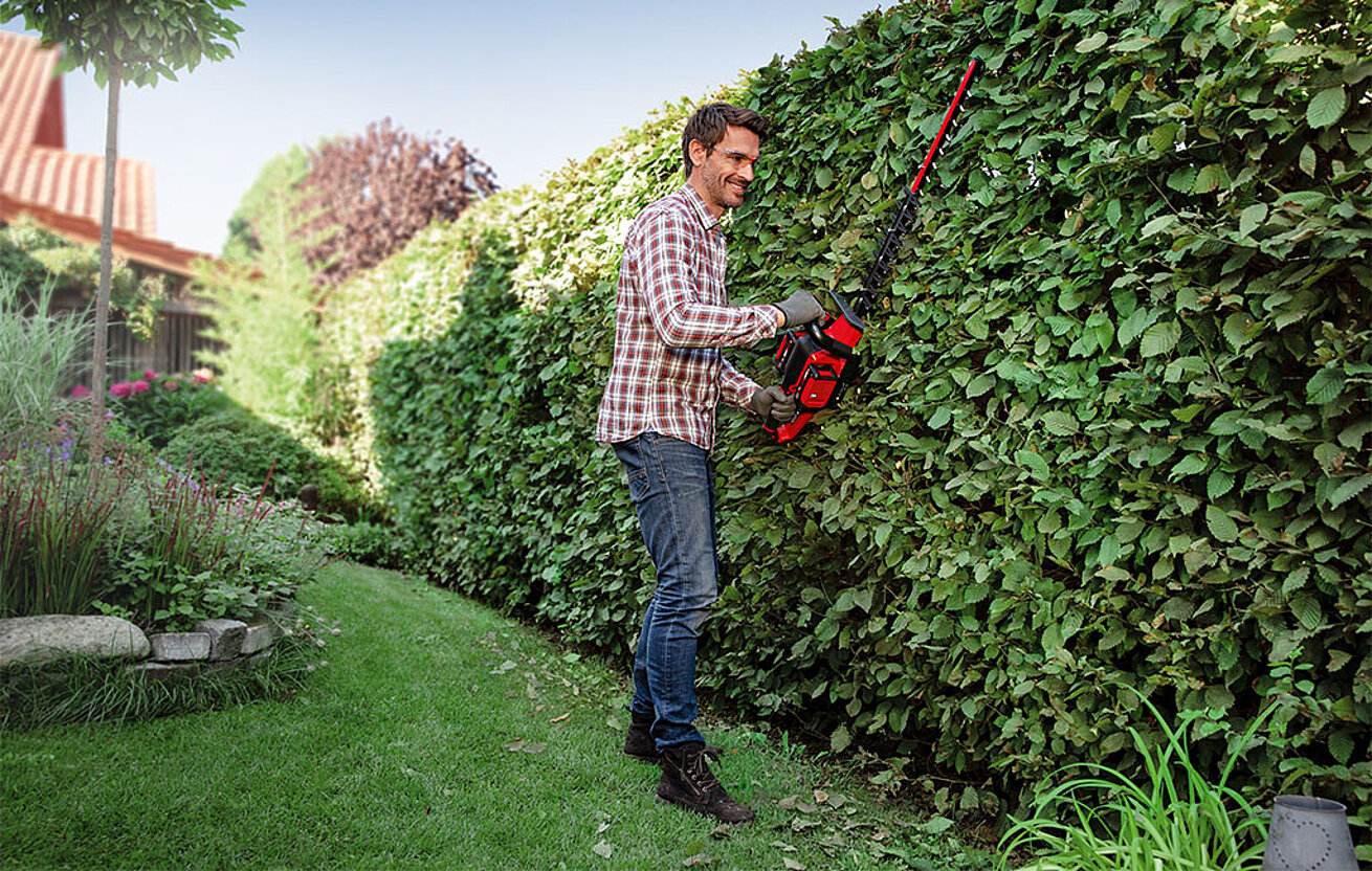Trimming Hedges: The correct Time and Way to Prune your Hedges ...