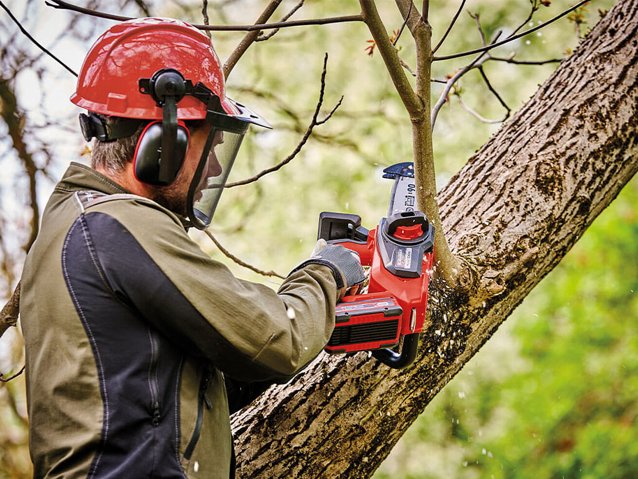 Comparison of cordless and single-handed chainsaws | Einhell Blog
