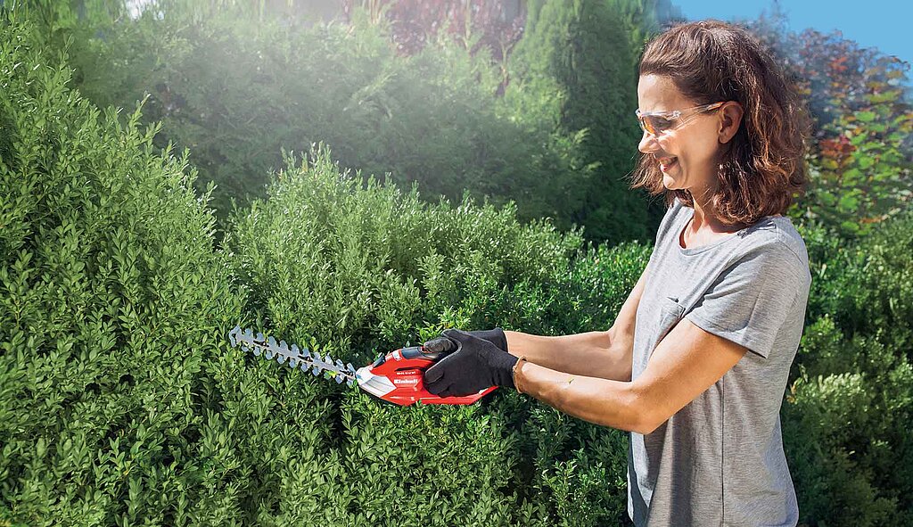 Garden art at home: Perfect topiary for your shrubs | Einhell Blog